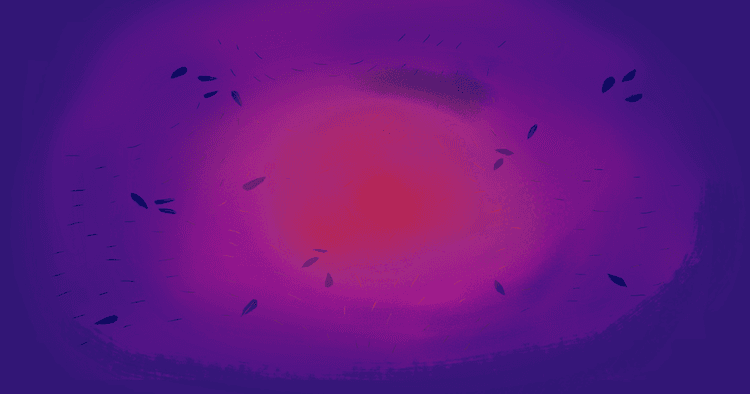 Spelling Games for Kids | Night Zookeeper