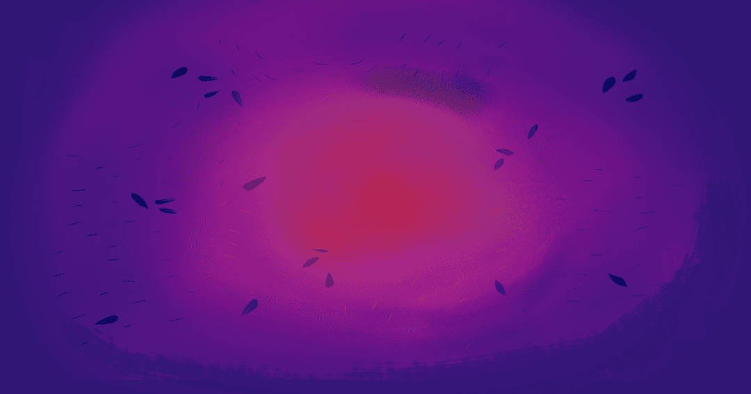 Spelling Games for Kids | Night Zookeeper