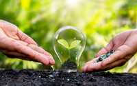 25 Environmental Writing Prompts | Night Zookeeper Blog