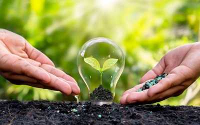 25 Environmental Writing Prompts | Night Zookeeper Blog