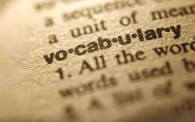 Why is Vocabulary Building Important? | Night Zookeeper Blog
