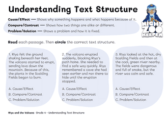 Grade 4 Reading Comprehension Worksheet | Night Zookeeper